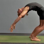 Shantaya Yoga Therapy